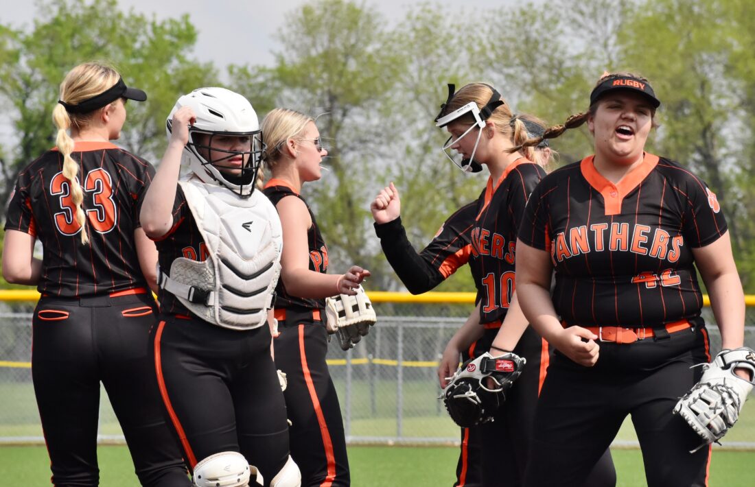 Panthers participate at Region 3 softball tourney | News, Sports, Jobs ...